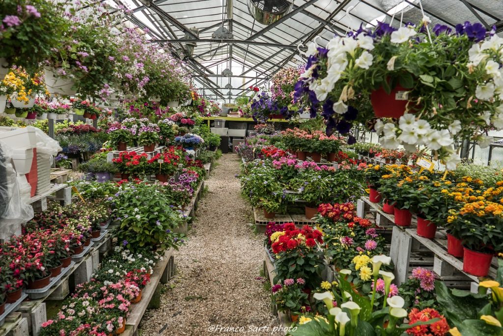 Vivaio Pesaro - Giardino di Santa Maria