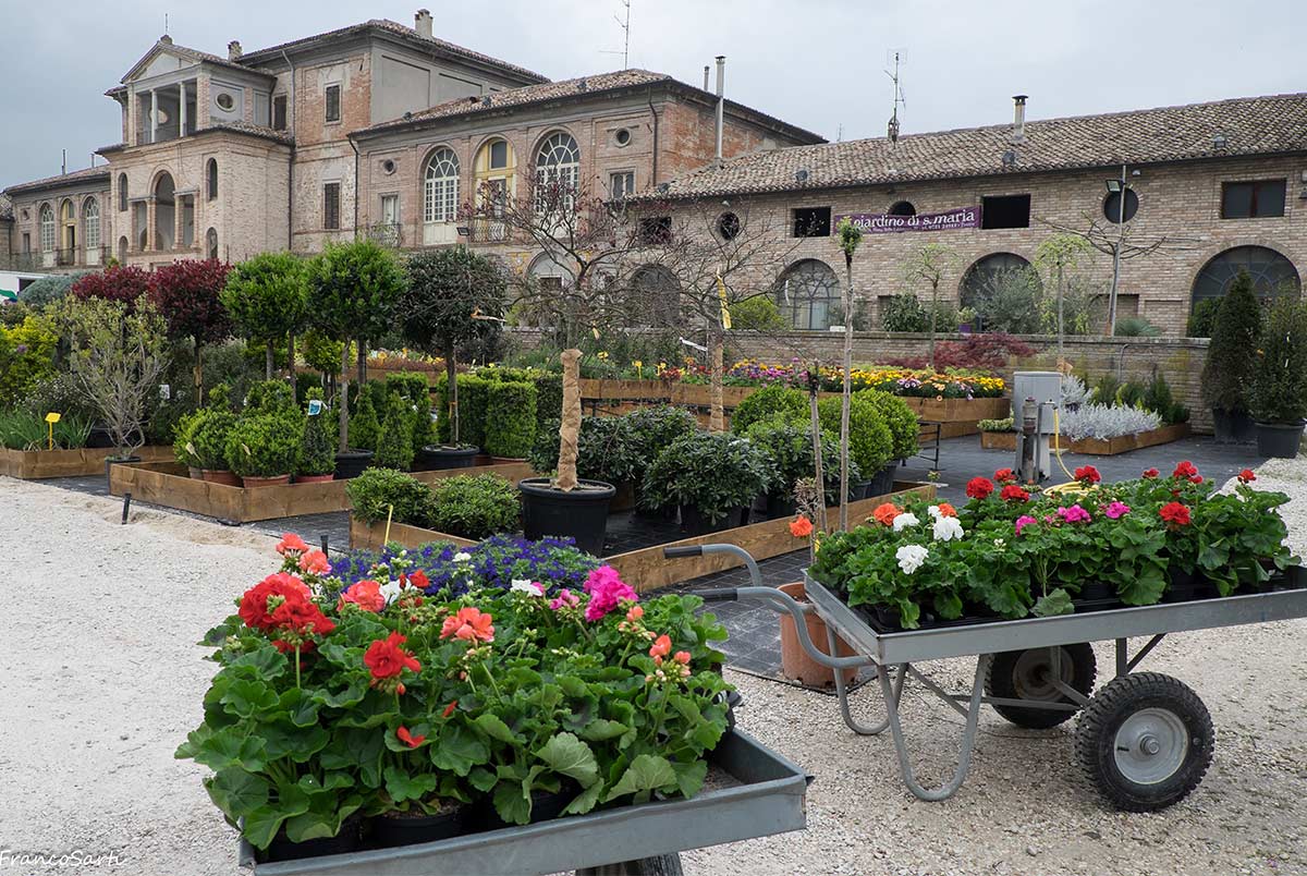 Vivaio Pesaro - Giardino di Santa Maria